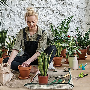 Succulent Gardening Tools, Squirt Bottle for Indoor Plants, Garden Scissors Pruning Shear, Bonsai Transplanting Tools Repotting Mat, Succulent Watering Bottle Terrarium Kit, Gardening Gifts for Women