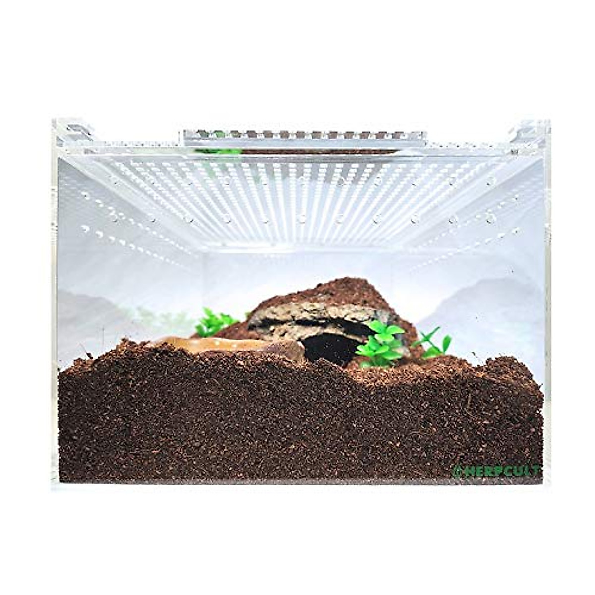 SOBAKEN Herpcult Magnetic Acrylic Large Enclosure 12 x 8 x 6