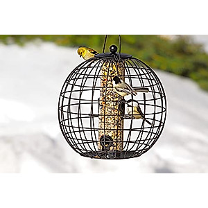 Gardeners Supply Company Globe Cage Bird Feeder | Sturdy and Squirrel Proof Outdoor Garden Hanging Hummingbird Feeder with Mixed Seeds Container | Best for Finches Nuthatches and Other Small Birds