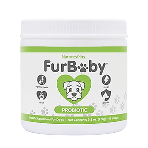 Natures Plus FurBaby Probiotic for Dogs - 9.5 oz - Supports Digestive, Heart, Liver & Immune Health - 60 Servings