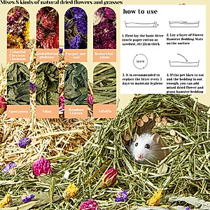 Tfwadmx Hamster Substrate Moss Natural Bedding Habitat Decor for Dwarf Syrian Hamsters Gerbils Mice Degus Bunny or Other Small Animal (Flower & Herb（A）(2PCS))