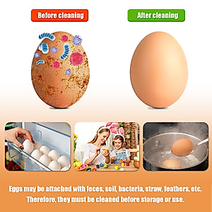 Shcsdr Egg Washer for Fresh Eggs Silicone Egg Brush Egg Scrubber Multipurpose Vegetable and Fruit Cleaning Tool Reusable Egg Cleaning Brush for Egg Cleaner (White 1Pack)