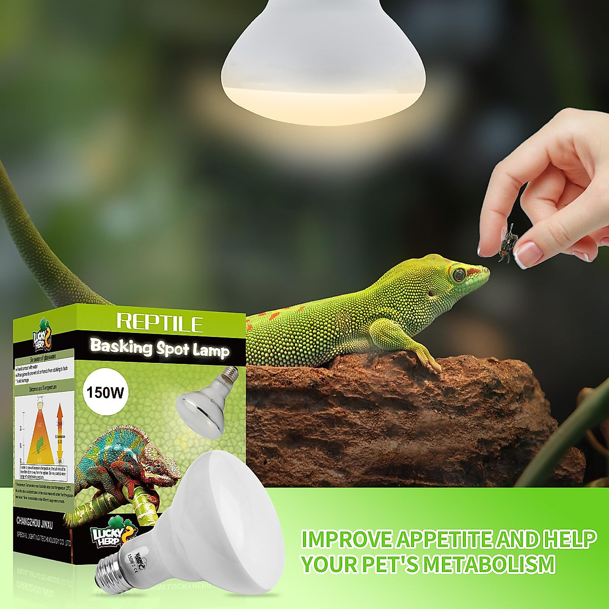 LUCKY HERP Heat Lamp Bulbs - 150W Reptile Heat Lamp 1 Pack, Daylight Basking Heat Lamp Bulbs for Reptile, UVA Heat Light Bulb for Reptiles, Amphibians, Bearded Dragons, Lizards, Turtles, Chickens