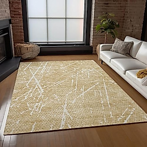 Addison Rugs Chantille ACN628 Beige 9' x 12' Indoor Outdoor Area Rug, Easy Clean, Machine Washable, Non Shedding, Bedroom, Living Room, Dining Room, Kitchen, Patio Rug