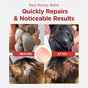 JAYU PET Red Honey Balm - Long Lasting Dog Cat Skin Nose Paw Wax Balm, Anti Slip & Help Reduce Licking, Dry Cracked Chapped Pad Soothing Butter, Pet Hotspots Itchy Allergy Relief Moisturizer 0.5 oz.