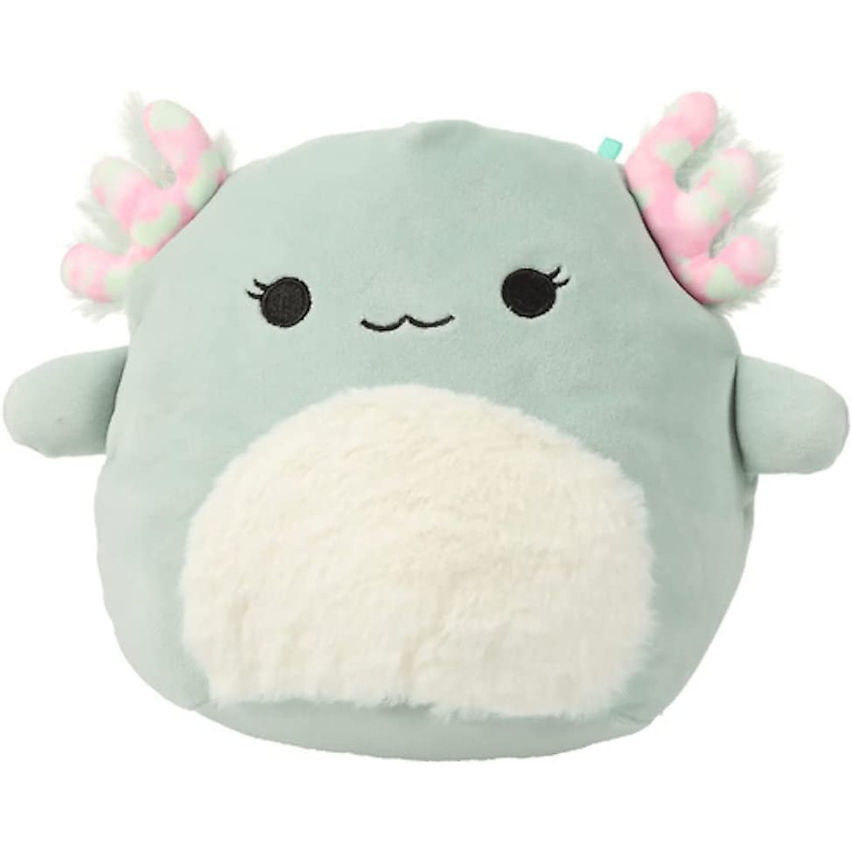Squishmallows 7.5" Chasmen The Axolotl