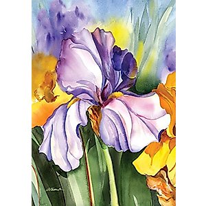 Toland Home Garden 109596 Iris Field Spring Flag 28x40 Inch Double Sided Spring Garden Flag for Outdoor House Flower Flag Yard Decoration