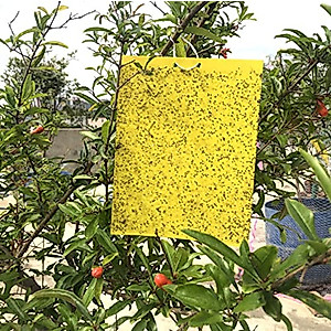 HGSLWFT 5 Count Sticky White Fly Trap (Pack of 5)