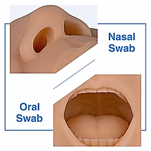 SimCoach Nasal Swab, Throat Swab Test Training Model, Swab Collection Simulator, Saliva Oral Swab, Acupuncture, Puncture Practice Model (Brown)