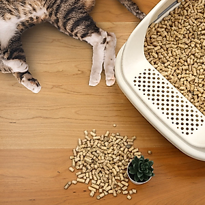 Casual Home 100% Natural Pine Wood Non-Clumping Cat Litter Wood Pellets