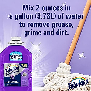 Fabuloso Professional All Purpose Cleaner & Degreaser - Lavender, 1 Gallon (Pack of 1)