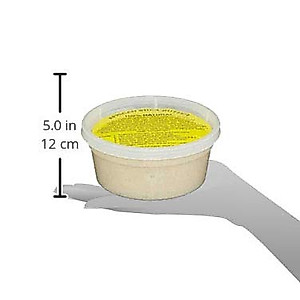 REAL African Shea Butter Pure Raw Unrefined From Ghana"IVORY" 8oz. CONTAINER