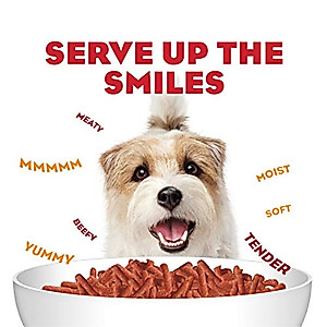 Purina Moist & Meaty Wet Dog Food, Chopped Burger - 36 ct. Pouch