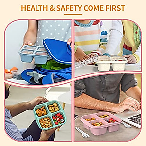 RGNEIN Bento Snack Boxes (4 Pack)- Reusable 4-Compartment Meal Prep Containers for Kids and Adults, Perfect Food Storage Containers for School, Compact and Stackable (Wheat(Green/Blue/PK/Beige))