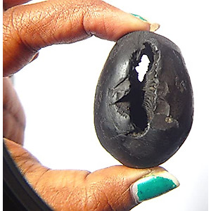 phoenix888 Kurma Laxmi Navnidhi Purnachakra Purnagarbha Shaligram