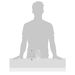 Bodum Pavina Glass, Double-Wall Insulate Glass, Clear, 15 Ounces Each (Set of 2)