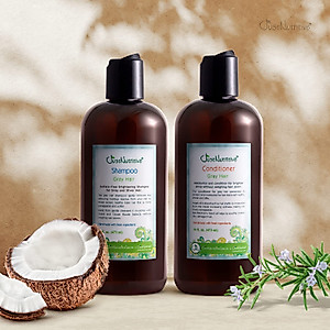 Just Nutritive Gray Hair Shampoo and Conditioner Set for Gray Hair Kit, Natural Shampoo and Conditioner for Gray Hair Bundle, 16 oz Each Product