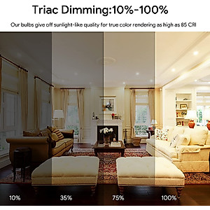 Energetic BR40 LED Light Bulbs, Indoor Flood Light, Dimmable, 3000K Warm White, 110W Equivalent, 1600LM, E26 Base, Recessed Can Light, High Lumen, Flicker Free, UL Listed, 6 Pack