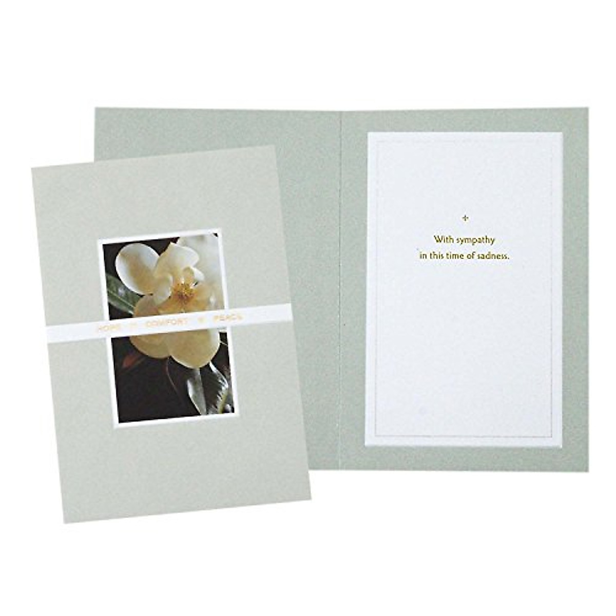 Hallmark Sympathy Cards Assortment Pack (5 Condolence Cards with Envelopes)