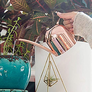 Smouldr Mini Plant Watering Can Indoor: Rose Gold Small Watering Can Helps You Water Tiny House Plants, Succulents, Bonsai or Herb Gardens - Steel Plant Waterer for Miniature Flower Pots - 15 Ounces