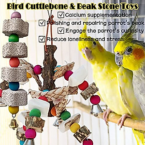 kathson Parrot Chewing Toy Bird Cuttlebone Toys Parakeet Beak Grinding Stone Hanging Bird Toys with Bell Natural Mineral Lava Blocks Chew Toys for Budgie Cockatiel Conure African Grey（2 Pack）