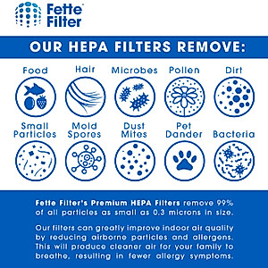 Fette Filter - 2 True HEPA Filters Compatible with 3M Filtrete F1 Replacement Filter for Purifier FAP-C01-F1,FAP-T02-F1, FAP-C01BA-G1, FAP-T02WA-G1, FAP-ST02W FAP-ST02N Compare to Part # FAPF-F1-A F1