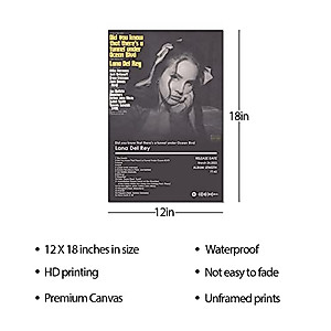 ADILAIDUN Pop Record Did you know that there's a tunnel under Ocean Blvd Album Cover Posters Music Collection Disc Wall Art Print Canvas Posters 12x18inch（Unframed 30x45cm Lana Del Rey）