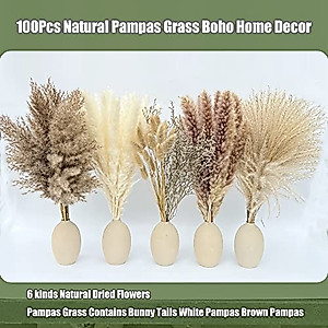 100Pcs Pampas Grass Boho Home Decor 17 inch Natural Dried Flowers-Pampas Grass Contains Bunny Tails White Pampas Brown Pampas.Boho Decor for Farmhouse Wedding Boho Wall Bathroom Office Kitchen…