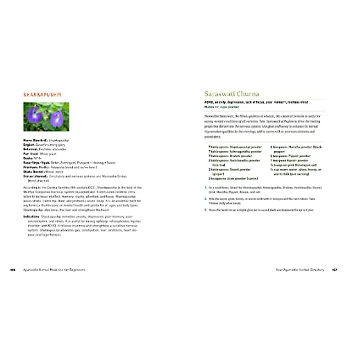 Ayurvedic Herbal Medicine for Beginners: More Than 100 Remedies for Wellness and Balance