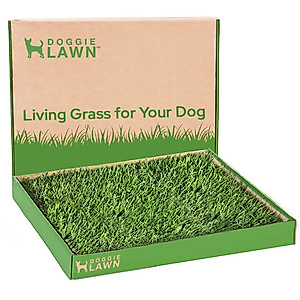 DoggieLawn Real Grass Puppy Pee Pads- 24 x 20 Inches - Perfect Indoor Litter Box for Dogs - No Mess, Easy-to-Use - Potty Training for Pets - Eco-Friendly Disposable Bathroom with Real Living Grass