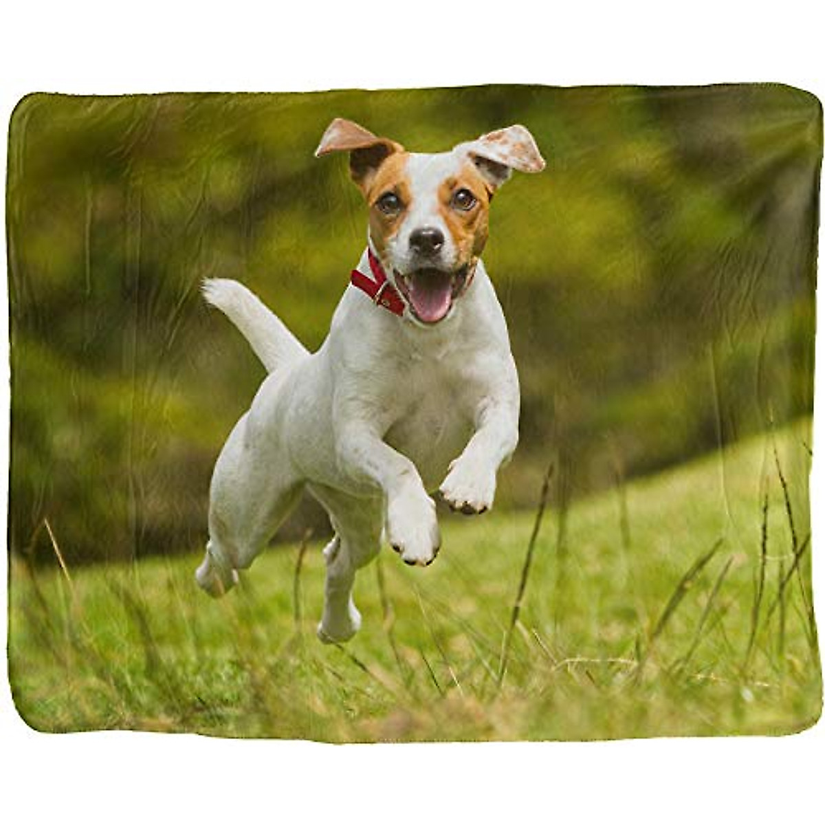 Pure Country Weavers Personalized Lux Fleece Printed Photo Blanket with Sherpa Backing - Customizable Gift Picture Throw - Made in The USA (50x60)