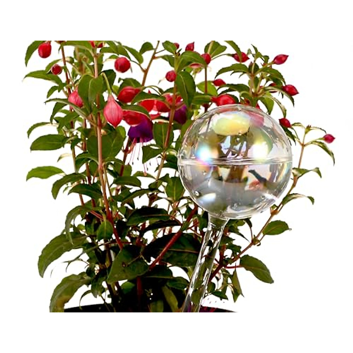 Ahhute 3 Pack Plant Watering Globes - Iridescent Rainbow Gradient Color Glass Watering Globes - Watering Bulbs for Outdoor Plants Indoor Plants - Plant Self Watering Devices