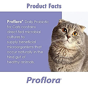 Proflora Probiotic for Cats - Healthy Digestion - Boost Immune System - Normal Bowel Function - Skin and Coat Health - Supplement for GI Tract - 30 Servings