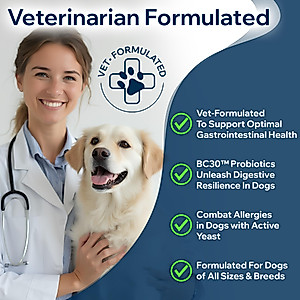 PetOptimum Probiotics for Dogs: Digestive Enzymes & Prebiotic for Gut & Digestive Health, Allergies & Itching, Immune Support, Constipation, Diarrhea & Gas Relief - 120M CFU, 90 Chews, All Breed Sizes