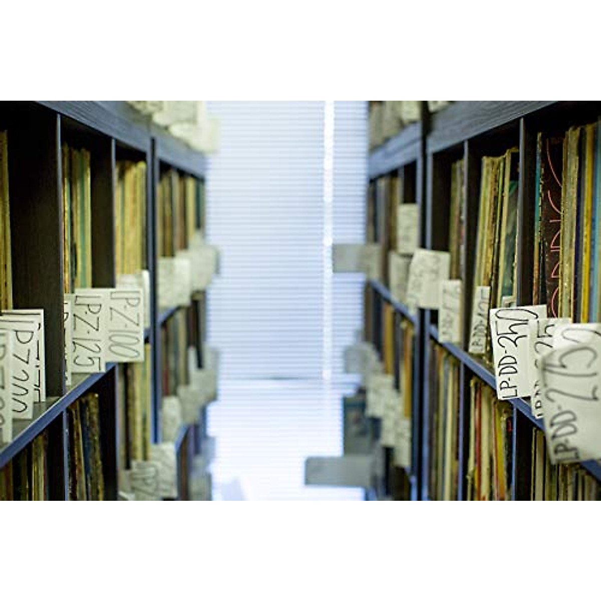 Invest In Vinyl 100 Clear Plastic Protective LP Outer Sleeves 3 Mil. Vinyl Record Sleeves Album Covers 12.75" x 12.5" Provide Your LP Collection with The Proper Protection