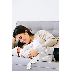 Pearhead Baby Plush Photo Sharing Milestone Age Blocks, Picture Prop, Set of 3 Blocks, Gray