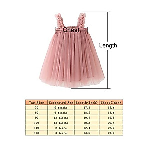 BGFKS Layered Tulle Tutu Dress for Toddler Girls,Baby Girl Rainbow Tutu Princess Skirt Set with Flower Headband.(Dusty Rose,3T)
