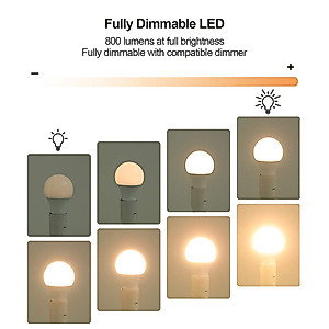 DEWENWILS 8-Pack Dimmable LED A19 Light Bulb, Soft White Light with Warm Glow, 800 Lumen, 2700K, 10W (60 Watt Equivalent), E26 Medium Screw Base, UL Listed