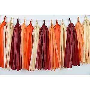 Fall Bridal Shower Decorations/Burgundy Fall Birthday Decorations Women/Burgundy Orange Champagne Party Decorations/Fall Wedding Decorations Maroon Burgundy Wedding/Thanksgving Party Decorations