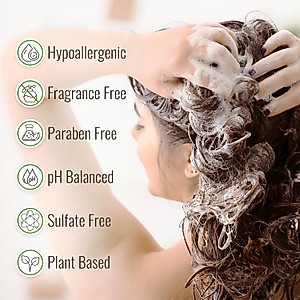 Manuka Honey Shampoo and Conditioner - Soothing Moisturizing Formula for Eczema, Psoriasis, Curly Hair and Color-Safe - All Natural Set