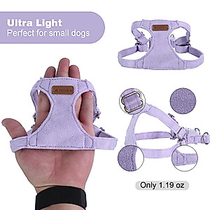 Dog Harness and Leash Set, XS No Pull Adjustable Puppy Harness with Multifunction Purple Dog Leash and Collar, Soft No Choke Escape Proof Pet Harness Vest for Small Dogs and Cats (Purple, XS)