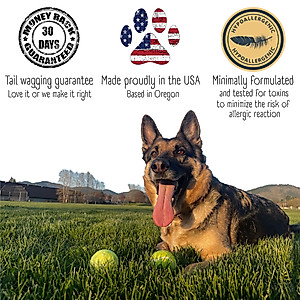 DiOGi and Me Probiotics for Dogs - Digestive Enzymes for Gut Flora, Caprophagia, Diarrhea & Bowel Support - Clinically Studied DE111 - Dog Supplement Soft Chew for Pet Immune System