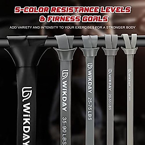 WIKDAY Resistance Bands, Pull Up Bands, Workout Bands for Exercise, Thick Heavy Resistance Band Set with Door Anchor, Elastic Bands for Body Stretching, Crossfit Training at Home/Gym for Men & Women