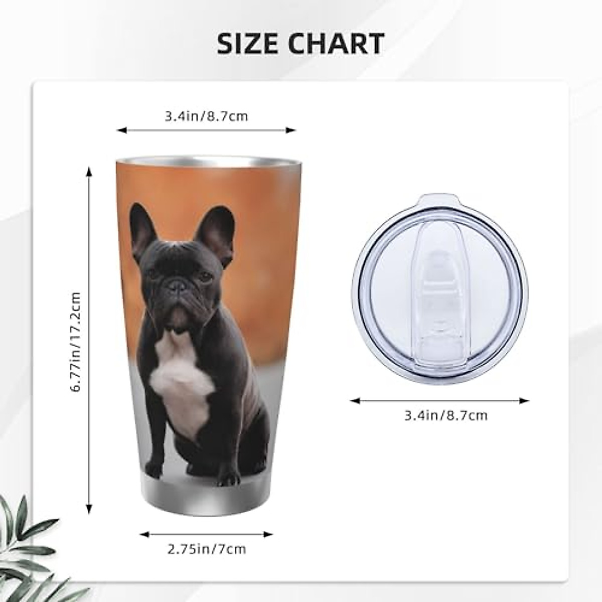 NHJKLWQSZ French Bulldog 20oz Stainless Steel Tumbler With Lid And Straw, Double Wall Vacuum Insulated Coffee Mug Travel Cups Leak-Proof Lid For Hot And Cold Drinks, Metal Straws And Brush