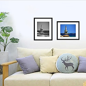 11x14 Picture Frame Set of 5, Display Pictures 8x10 with Mat or 11x14 Without Mat, Wall Gallery Photo Frames