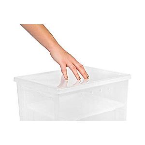 IRIS USA 4 Pack Shoe Storage Box, Clear Plastic Stackable Shoe Organizers for Closet, Space Saving Drop Front Sneaker Containers, Tall