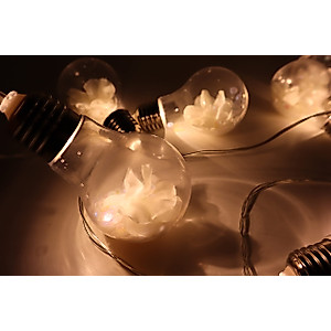 Thegreen Globe String Light led with Sparkles and Flowers Plug in Wall, 9 Light Bulb with Extension + Female Plug a Decorative Lights for Bedroom, Patio, Garden and Waterproof