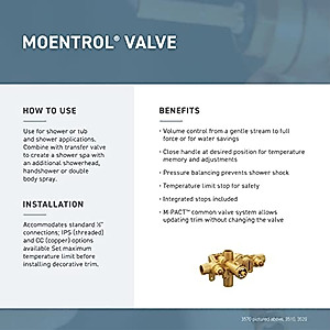 Moen Kingsley Chrome Traditional Moentrol Tub and Shower Lever Handle, Valve Required, T3111