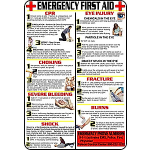 First Aid and Choking Poster, 11' x 17", Laminated, Includes CPR, Shock, Eye Injury, Fracture, Burns, Severe Bleeding & Choking