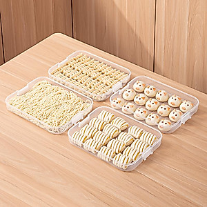 Ahathyw 4-Layer Frozen Dumpling Storage with Lids & Timing, Flat Stacks Food Container Icing Cookies Wonton Donuts Box Organizer For Fridge, Keeping Fresh